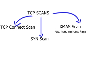 UDP Scan